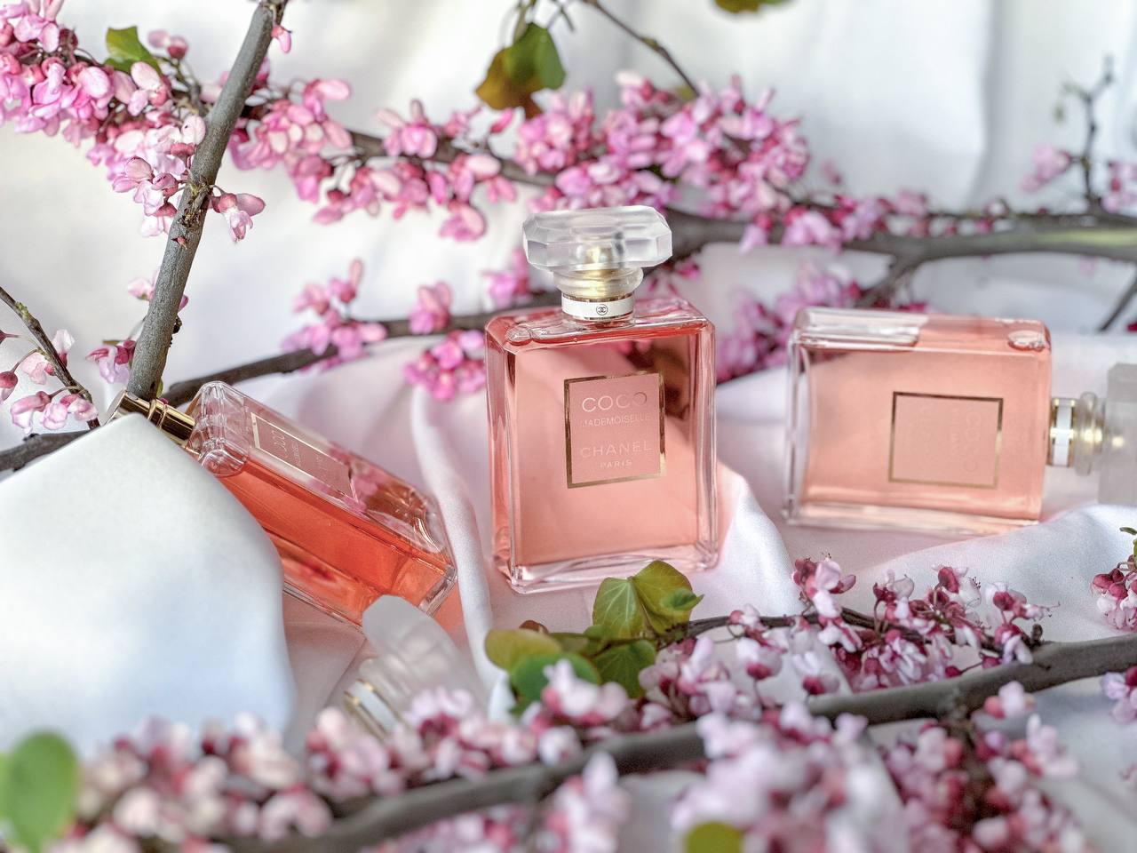 أبوليلى للعطور – Abu Laila's Perfume Shop